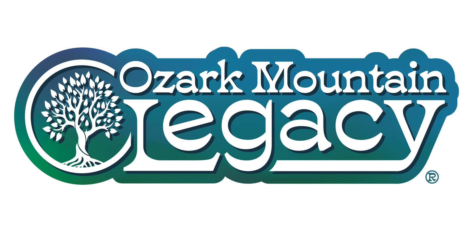 Young Leaders Institute